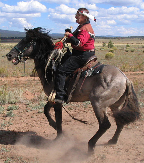 Horse Stories -- How to breed for dilute colors